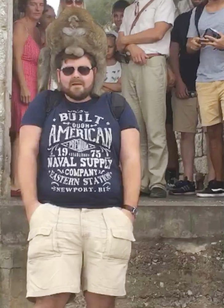 From Awkward Family Portraits To Epic Photobombs, These Hilarious Beach ...