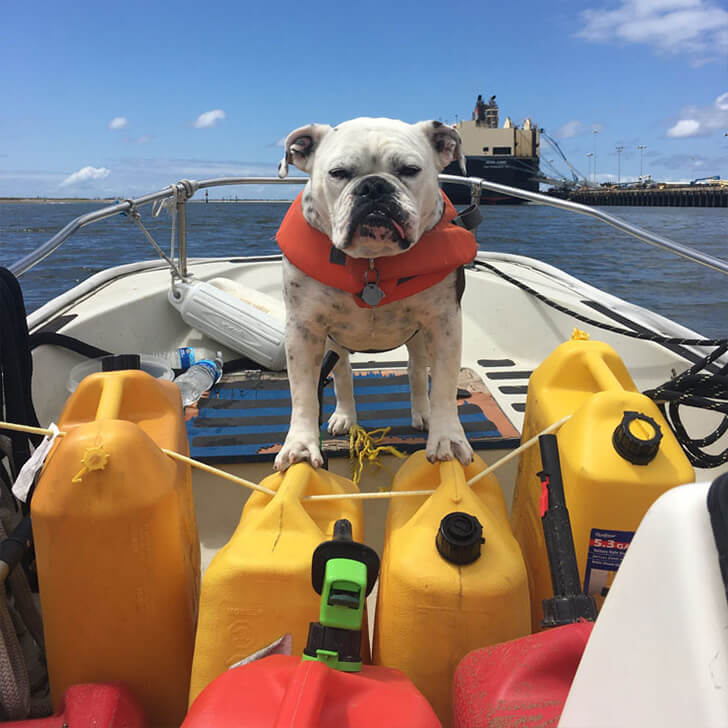 These Boating Memes Are So Funny, You'll Need a Life Jacket! - Weight ...