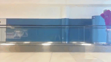 Prepare for Takeoff: The Funniest Airport Fails That'll Leave You in ...