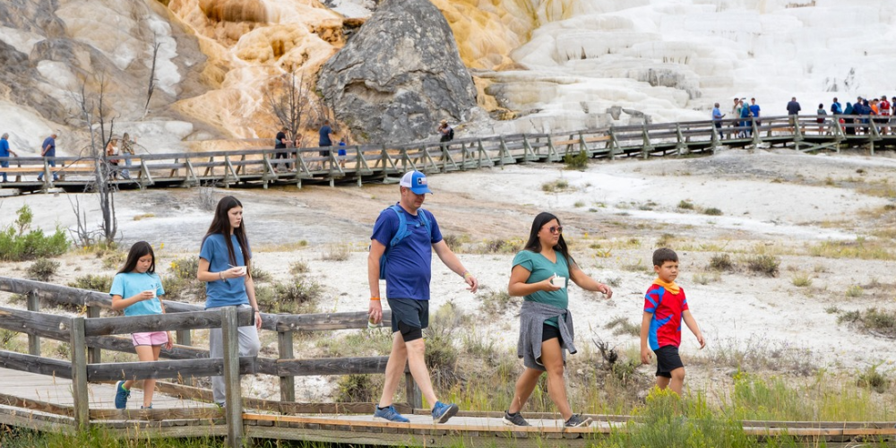Best Times to Visit Yellowstone National Park | Complete Seasonal Guide